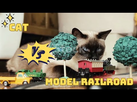cat vs model railroad a comedic Journey. - YouTube