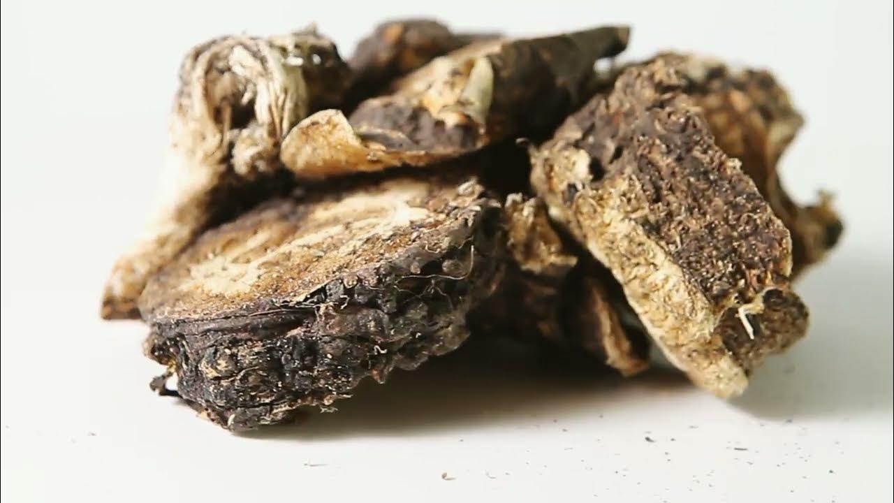 Омик ферула - YouTube