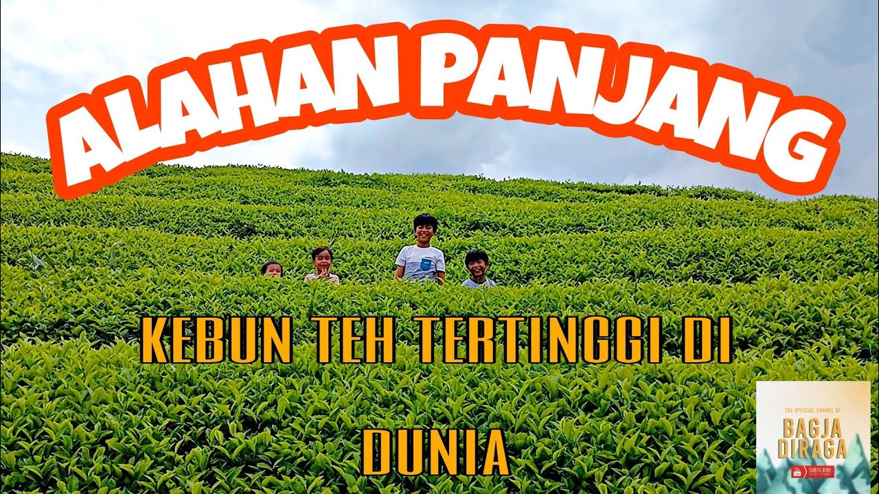 Wisata Alahan panjang Sumbar, gak perlu jauh2 ke Eropa ‼️ - YouTube