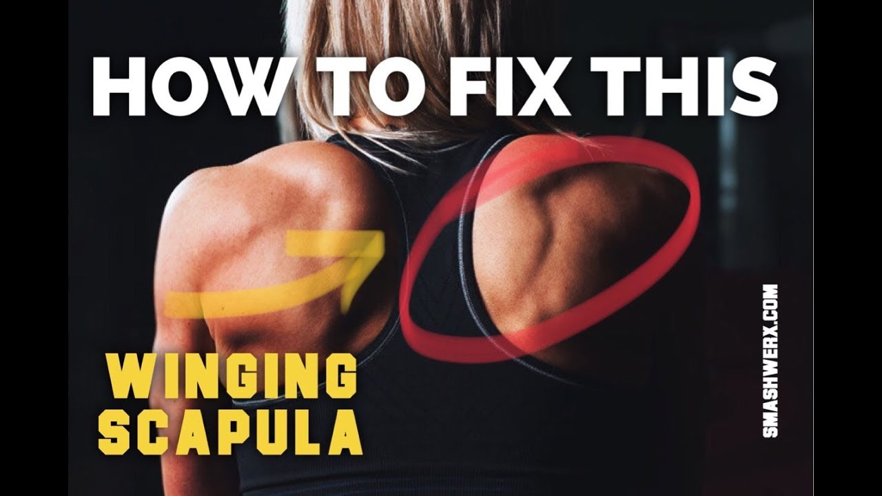 REAL WINGED SCAPULA FIX | SmashweRx | Trevor Bachmeyer - YouTube
