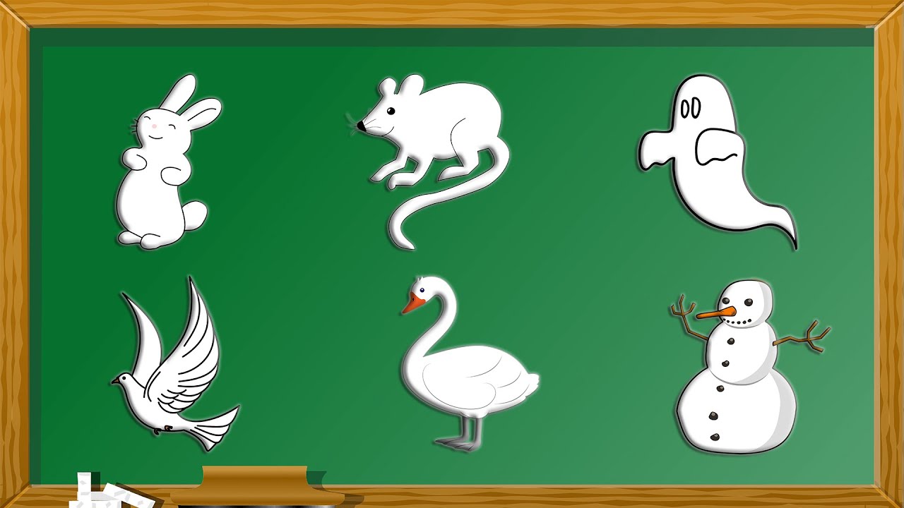 El Color Blanco Para Niños en Ingles y en Español | The White Color for ...