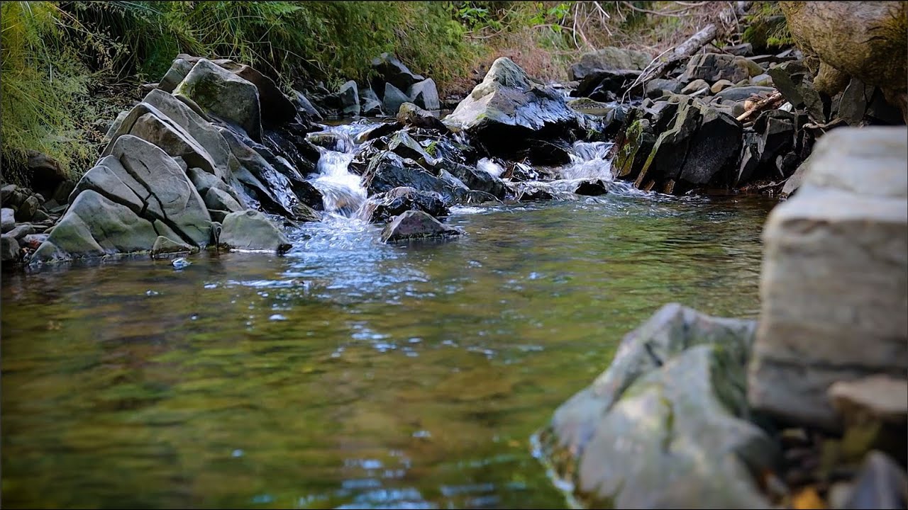 1hr Nature Flowing Water Small Stream Spring Nature Sounds Relax ...