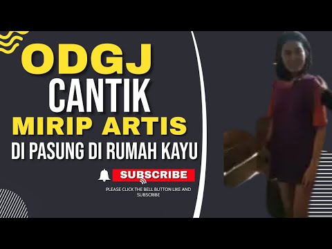 Viral! Wanita Diduga ODGJ Berparas Cantik Dipasung di Bilik Kayu