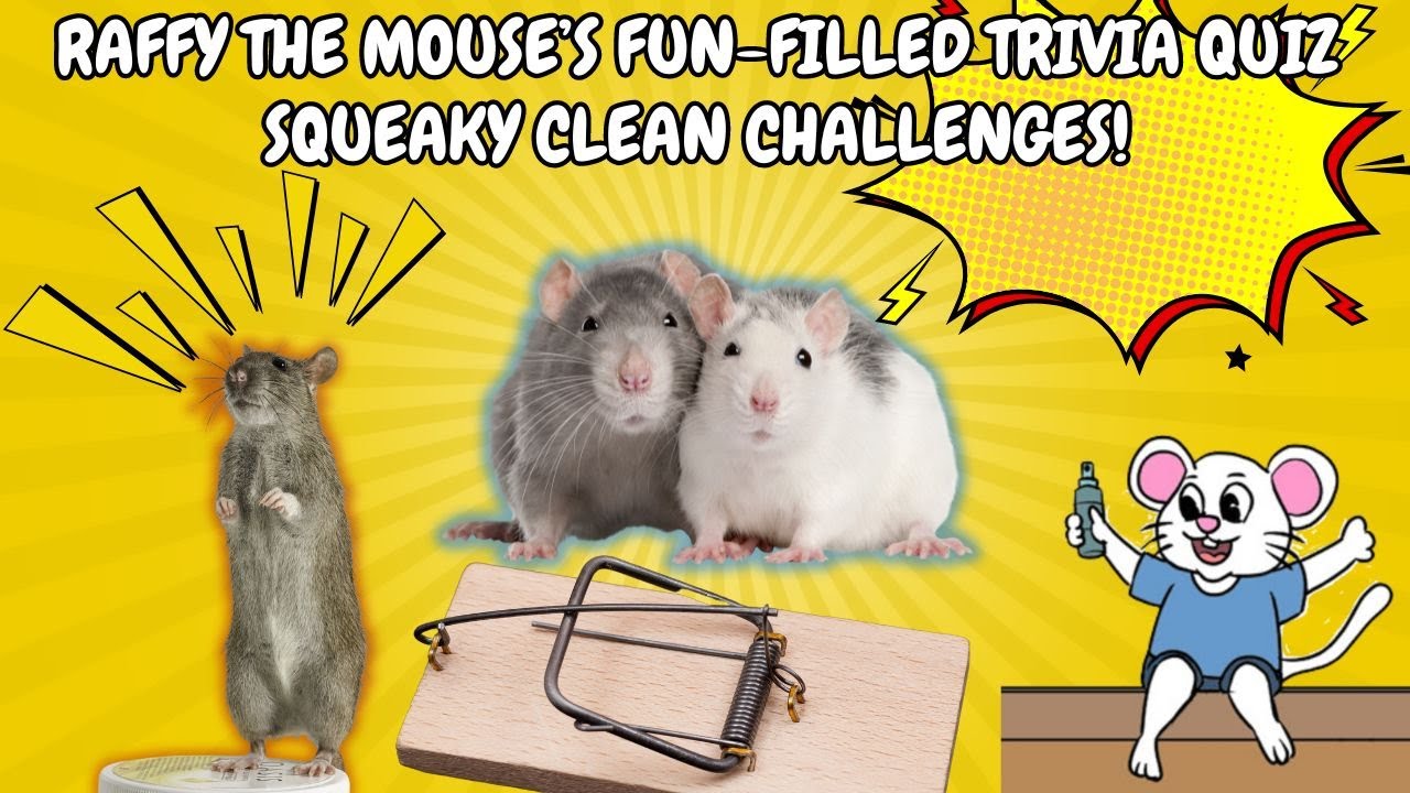 Rat Trivia Quiz for Kids | Fun Facts for Kids l Kitty and Company TV ...