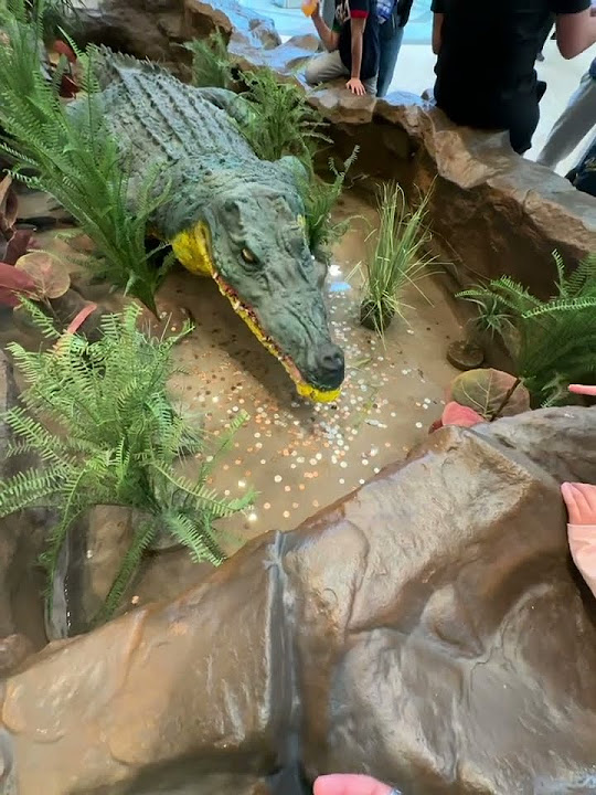 feeding the crocodile - YouTube