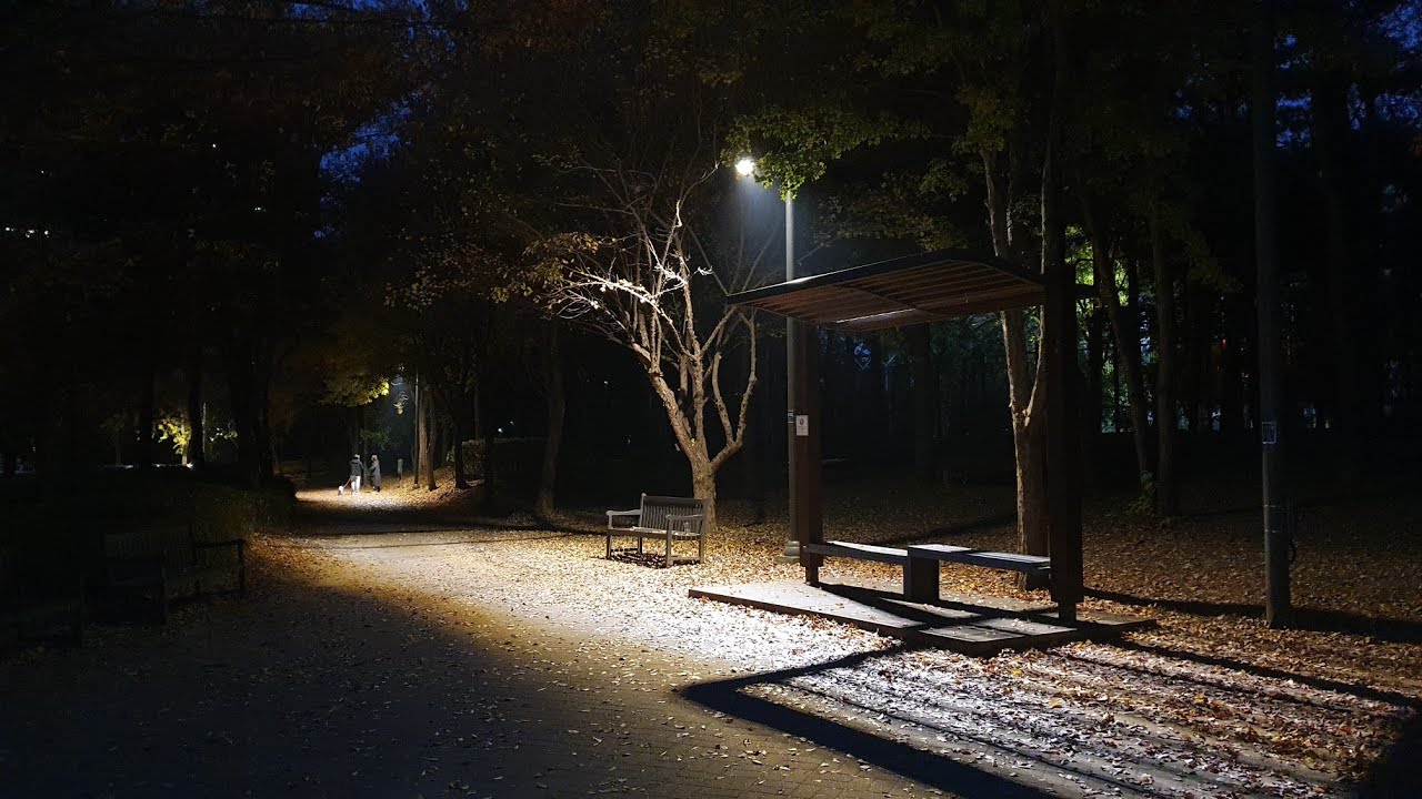 [3K] Night Walk in the quiet Seoul Forest Park Seoul Korea. 늦은 밤 서울숲공원 ...