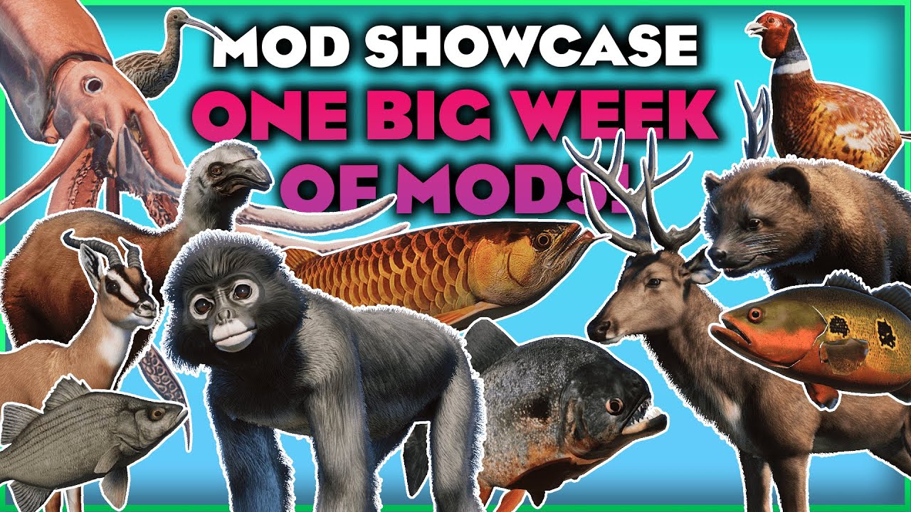 ONE BIG WEEK OF MODS! - Planet Zoo Mod Showcase - YouTube