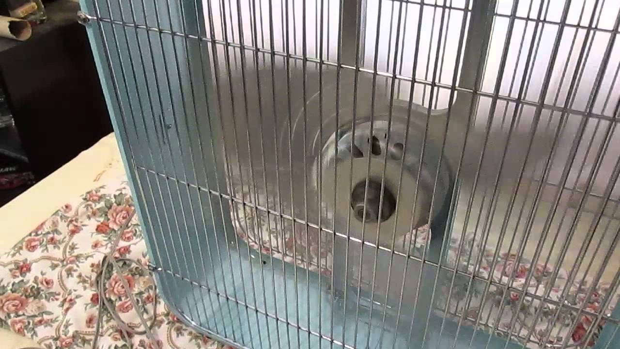 1960 lakewood x 22 20 inch vintage box fan - YouTube