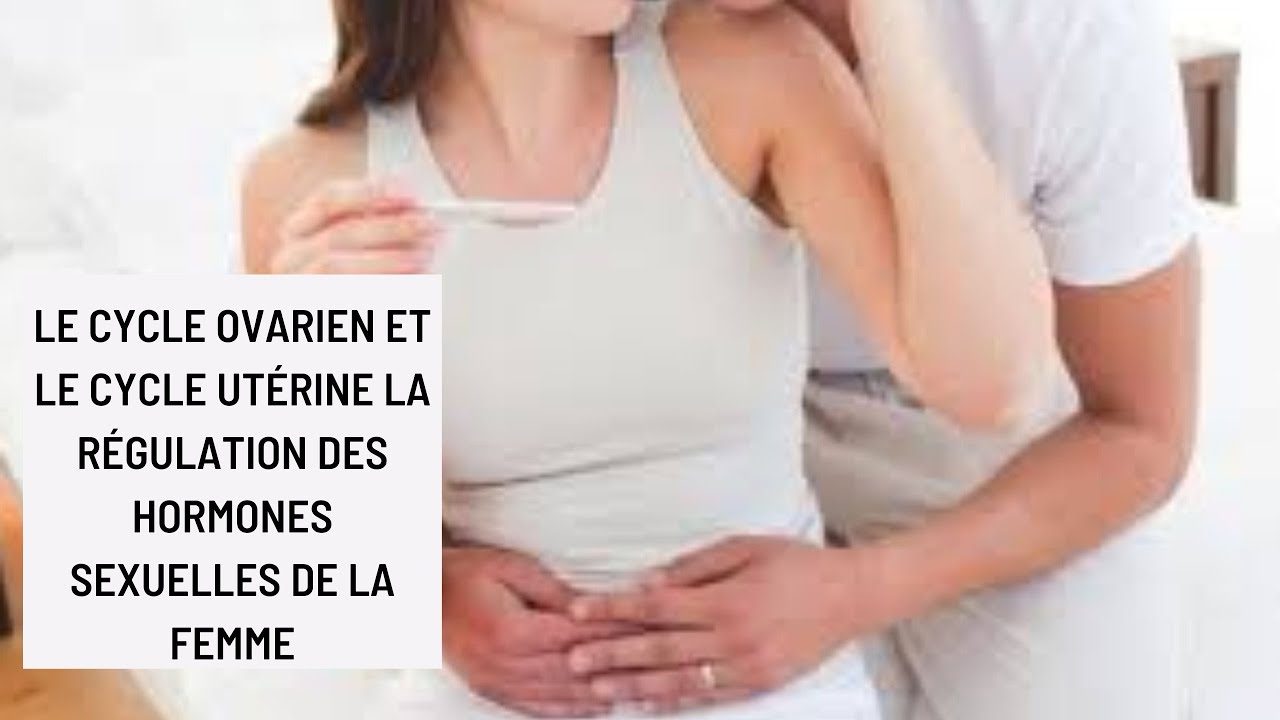 Le Cycle Ovarien Et Le Cycle Utérine La Régulation Des Hormones Sexuelles De La Femme Youtube