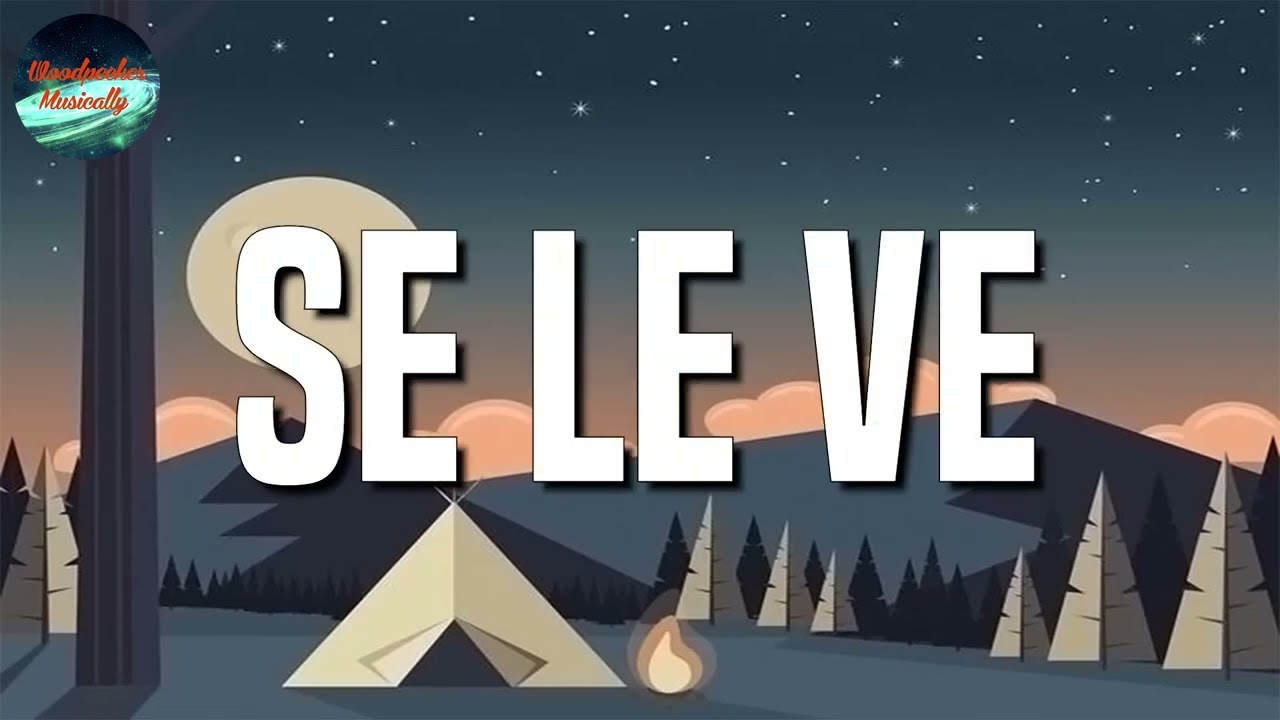 🎶 Reggaeton || Dimelo Flow, Sech, Lenny Tavarez, Justin Quiles, Dalex ...