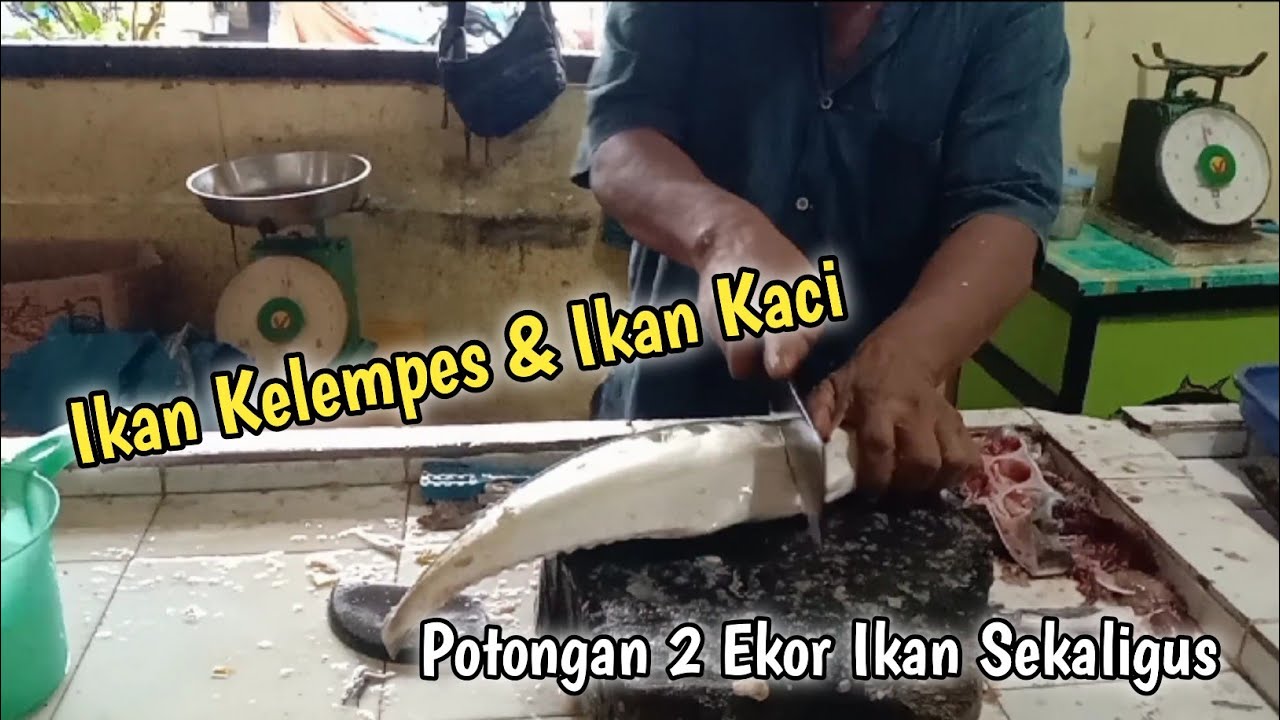 Tutorial rekomendasi cara memotong ikan Kaci dan ikan Kelempes Pasar ...