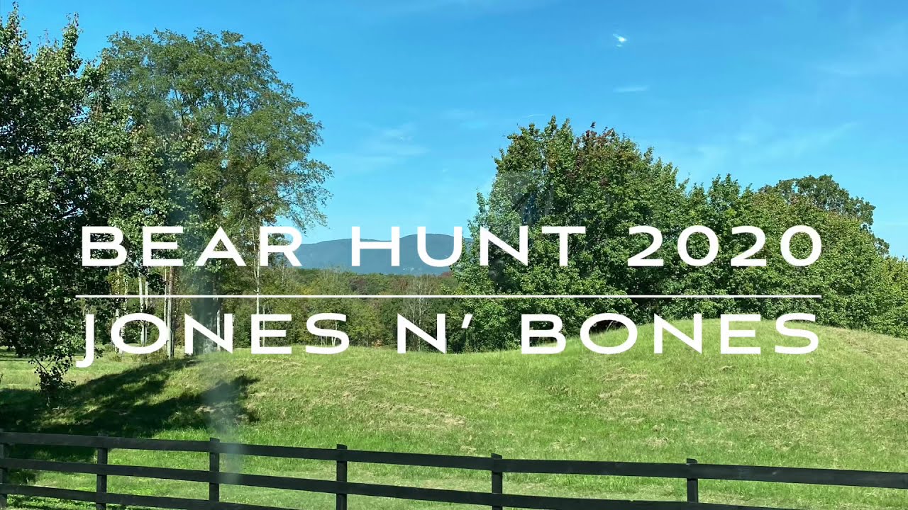 South Carolina Bear Hunt 2020 - YouTube