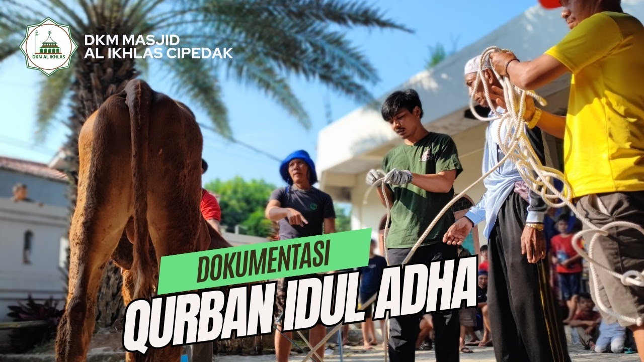 Dokumentasi Idul Adha 1444 H Masjid Al Ikhlas Cipedak Qurban Di Dkm
