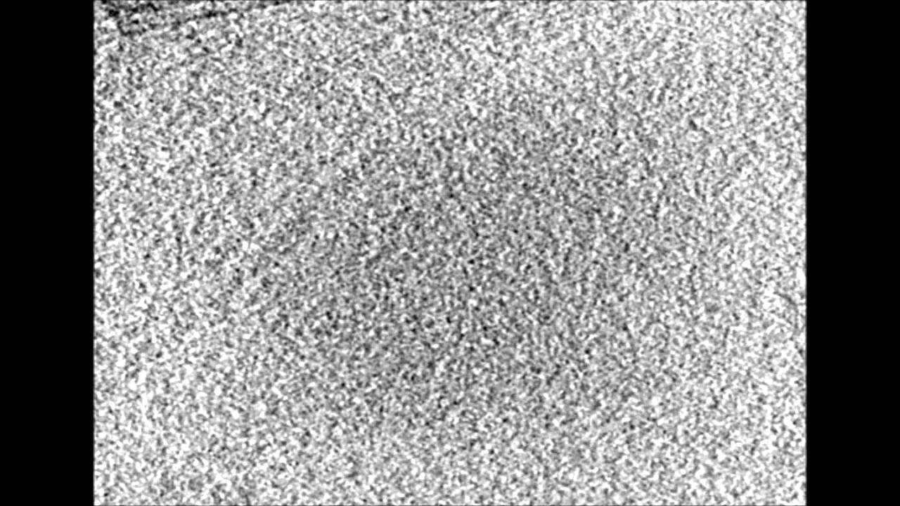 Nature Communications : Diverse uncultivated ultra-small bacterial ...