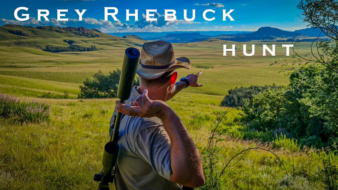 Hunting the Elusive Grey Rhebuck Walk-and-Stalk in South Africa ...