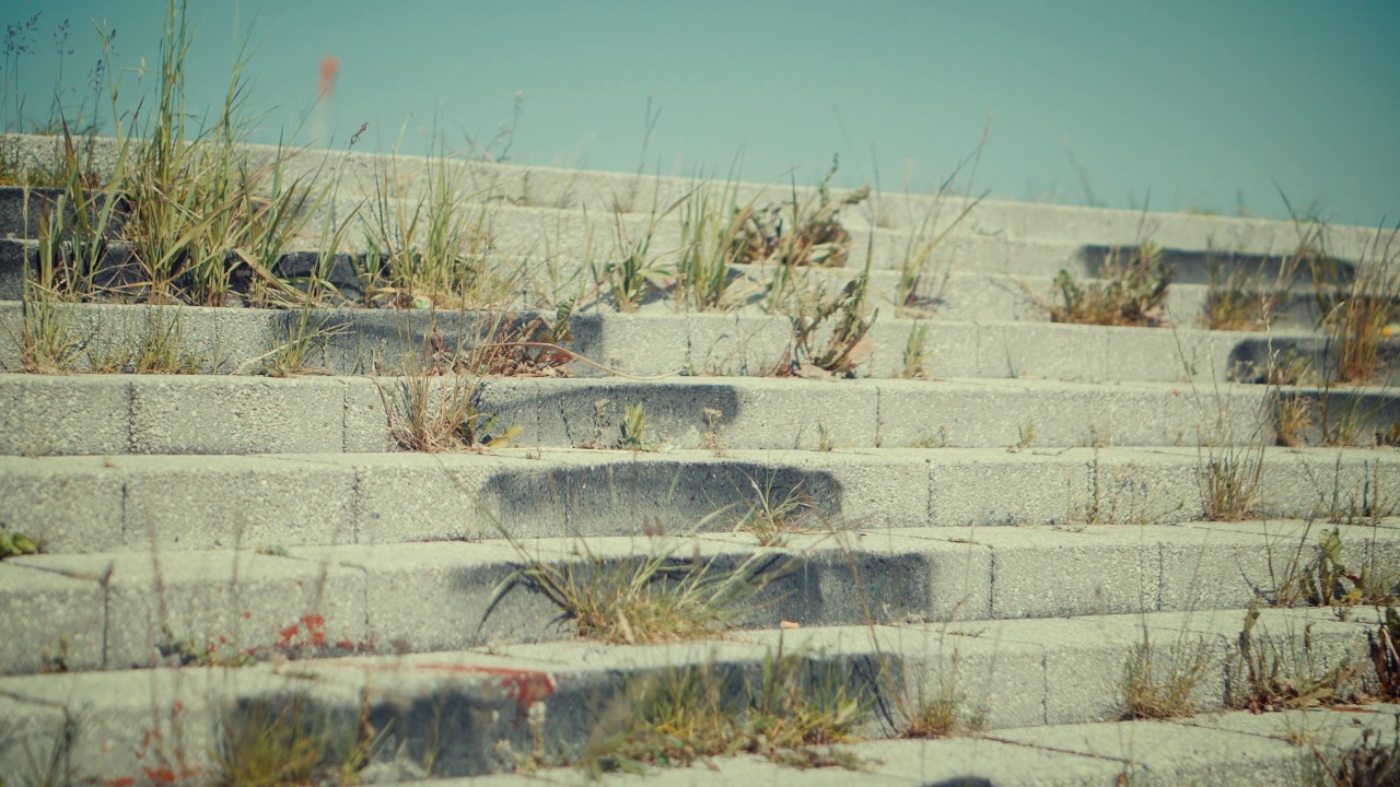 Your Life, Is Your Life // Charles Bukowski - YouTube