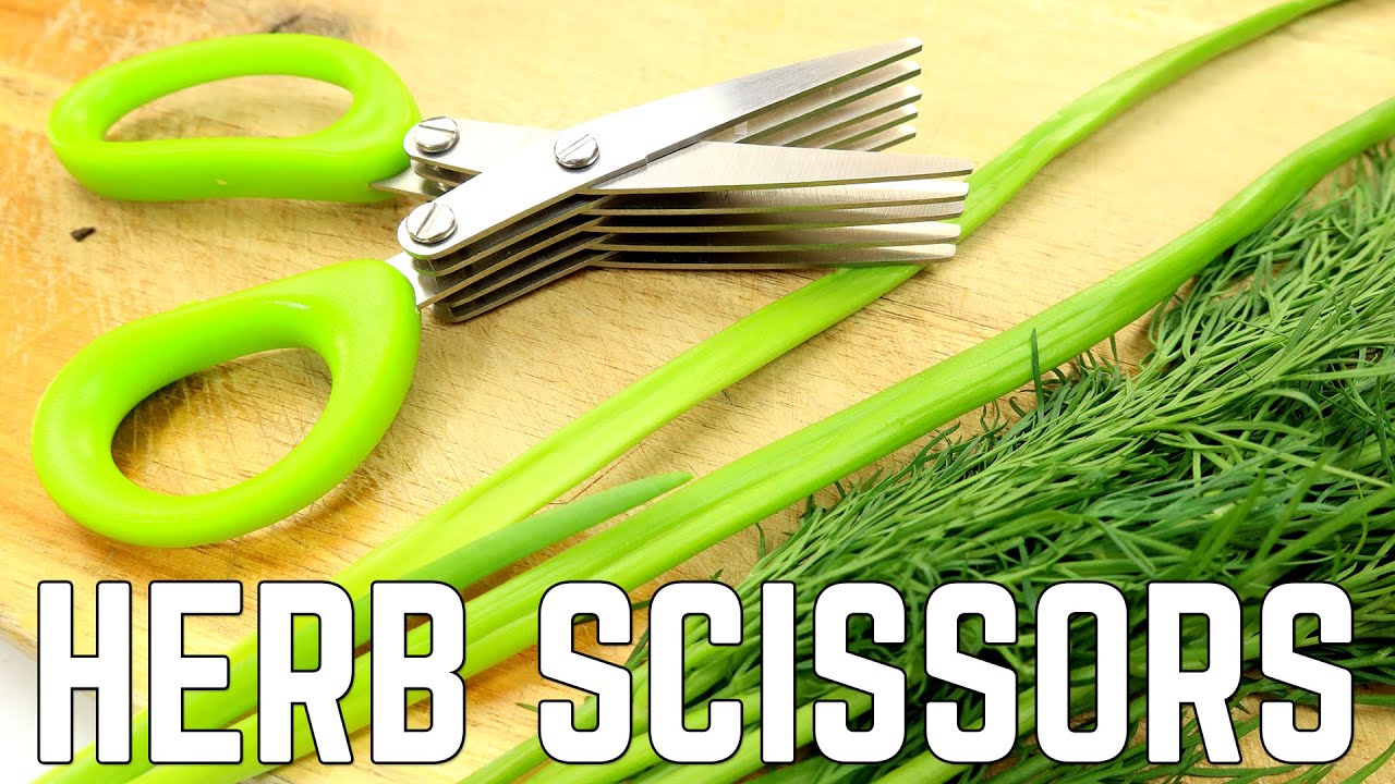 Herb Scissors - Multi Blade Scissors - Kitchen Gadget - YouTube
