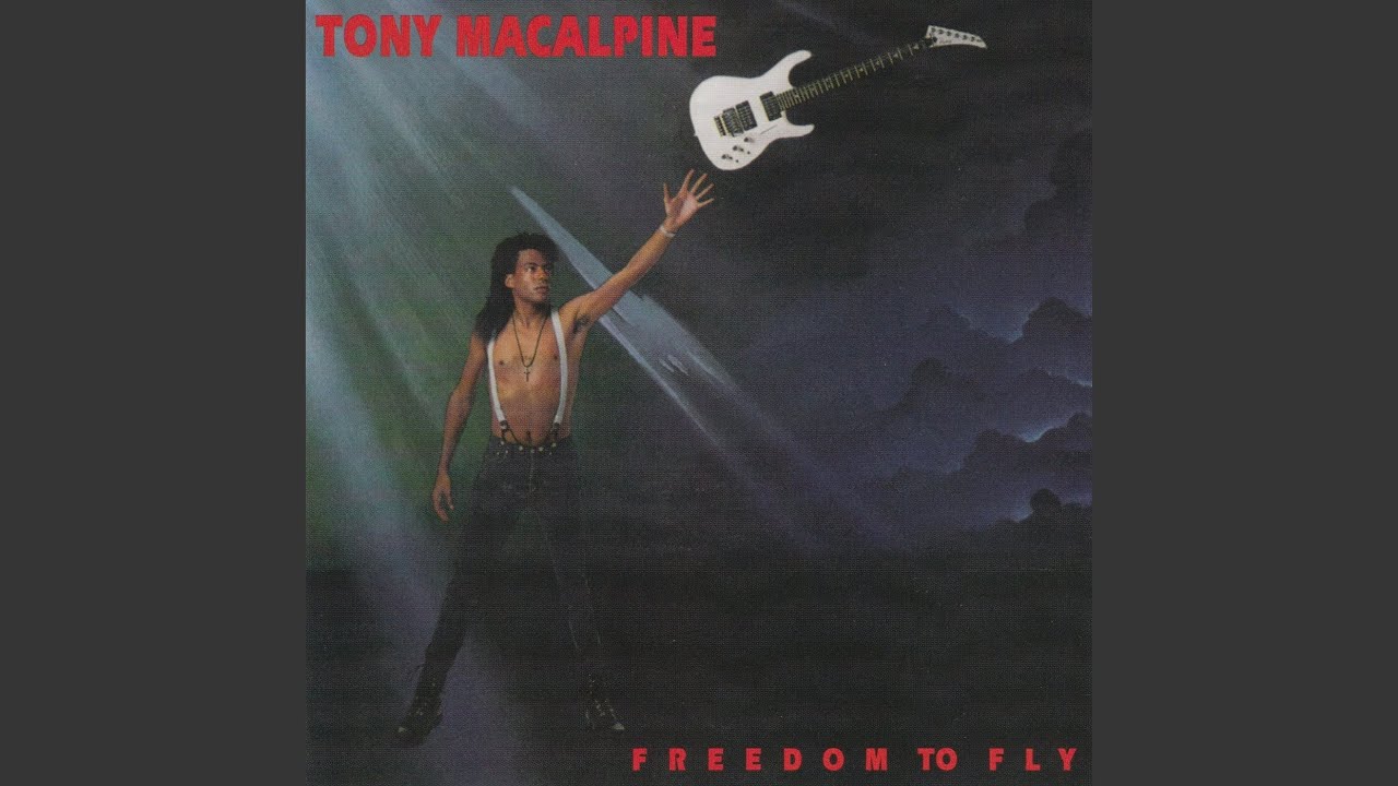 Freedom to Fly - YouTube