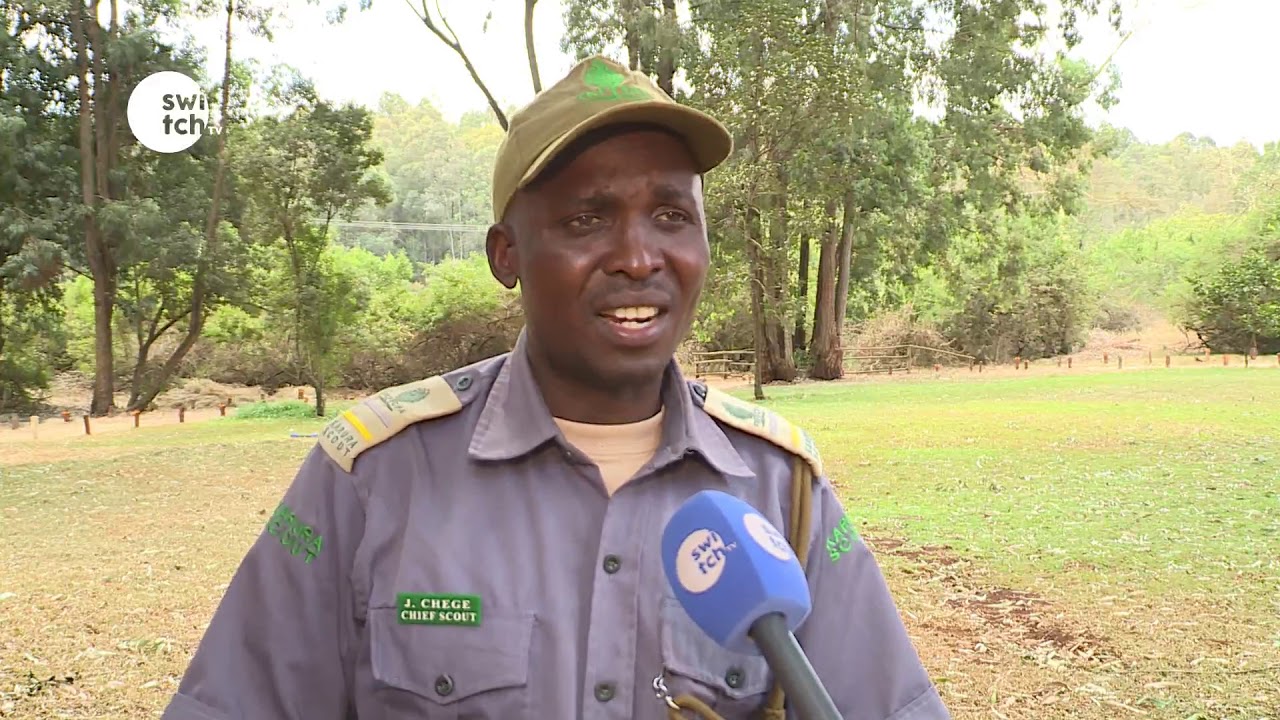 KARURA FOREST PYTHON - YouTube