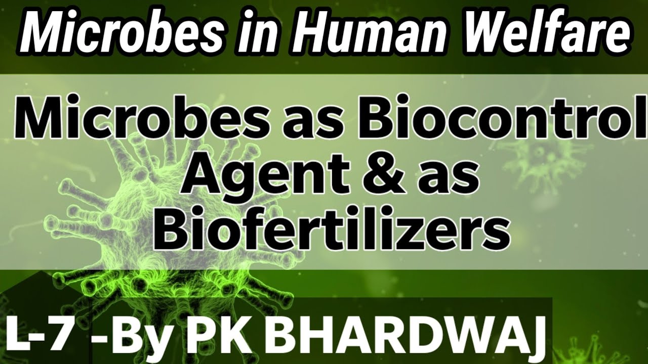 Microbes as Biocontrol Agent & as Biofertilizers - YouTube