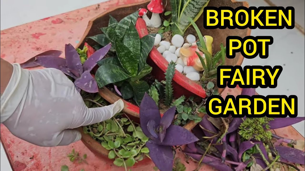 Broken Pot Fairy Garden || How to Make Broken Pot Fairy Garden || Fun ...