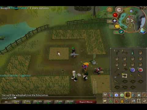 Runescape-Herb Farming Guide | 160k profit in 6 minutes - Commentary ...