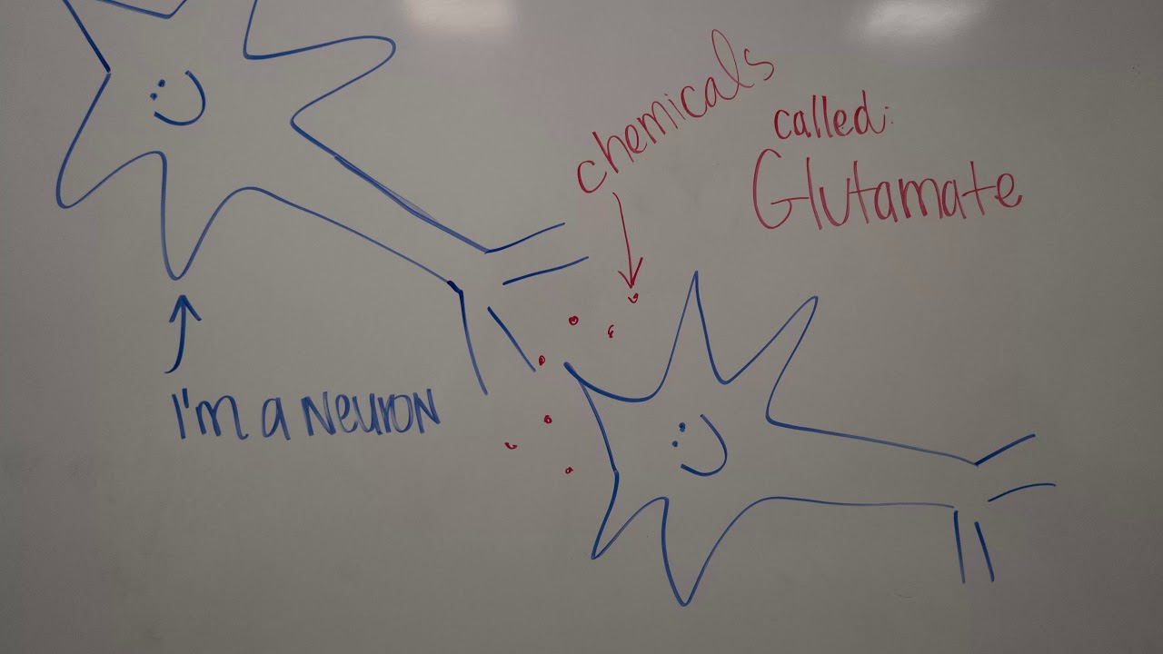 Neuro3L- Schizophrenia and the Glutamate Hypothesis - YouTube