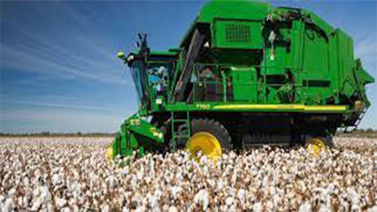 Wool and Cotton | Farming Simulator 22 Gameplay - YouTube