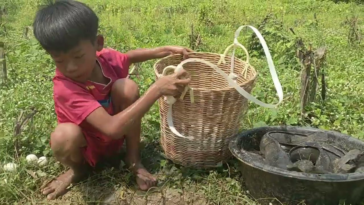 wow amazing fishing! Catching a lot of fish in Pond & pick eggs duck ...