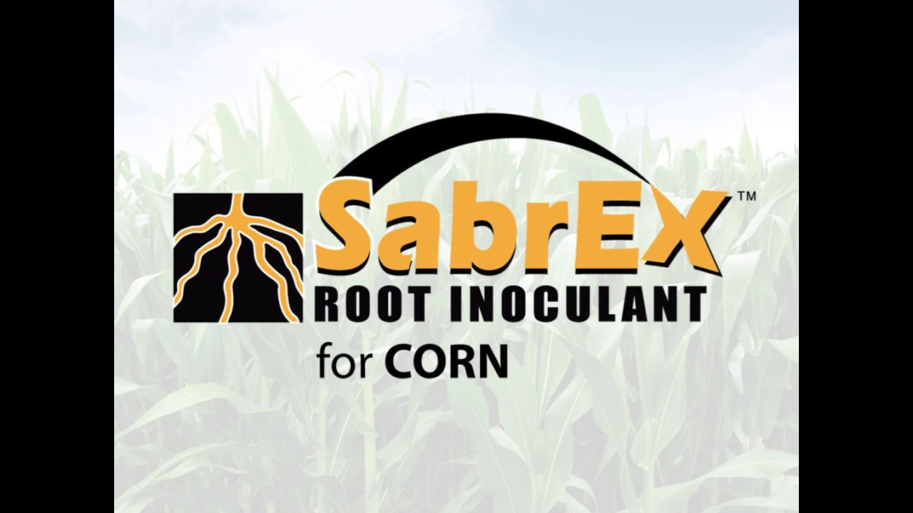 SabrEx® for Corn - YouTube