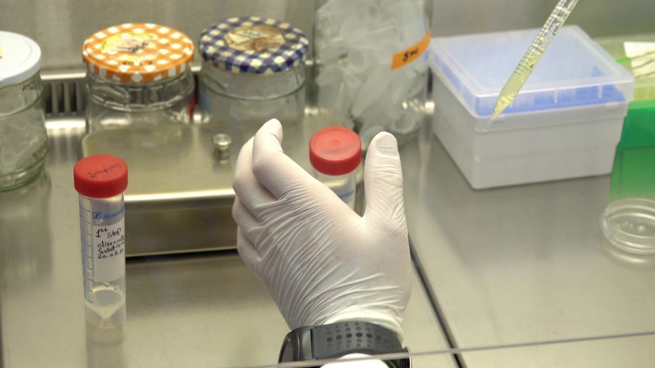 Testicular cells cryopreservation; Department of Reproduction Biology ...