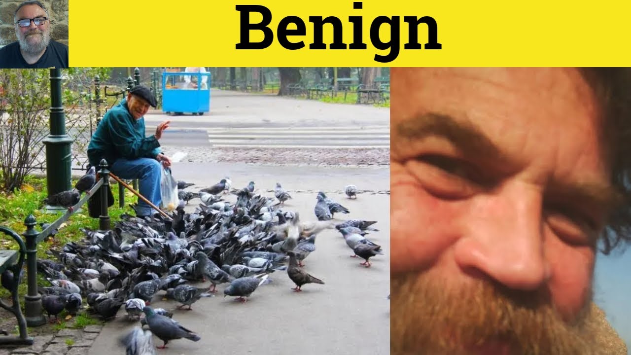 🔵 Benign Meaning - Benign Examples - Benign Definition . Benign Defined ...
