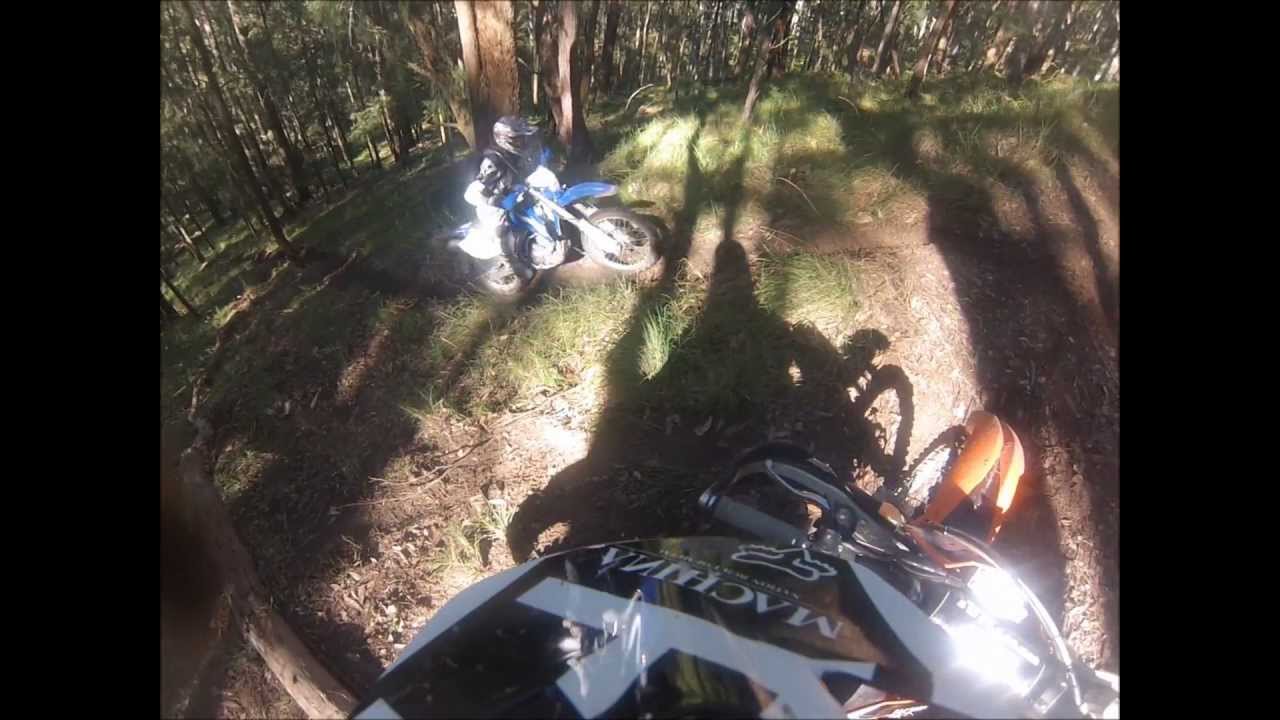 Watagan state forest trail ride - YouTube