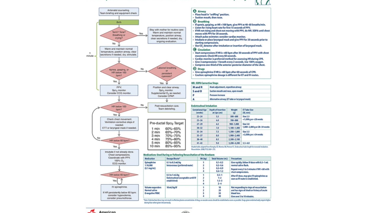 Neonatal Resuscitation 2 - YouTube