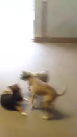 Jasmine, Macie, Jules - YouTube