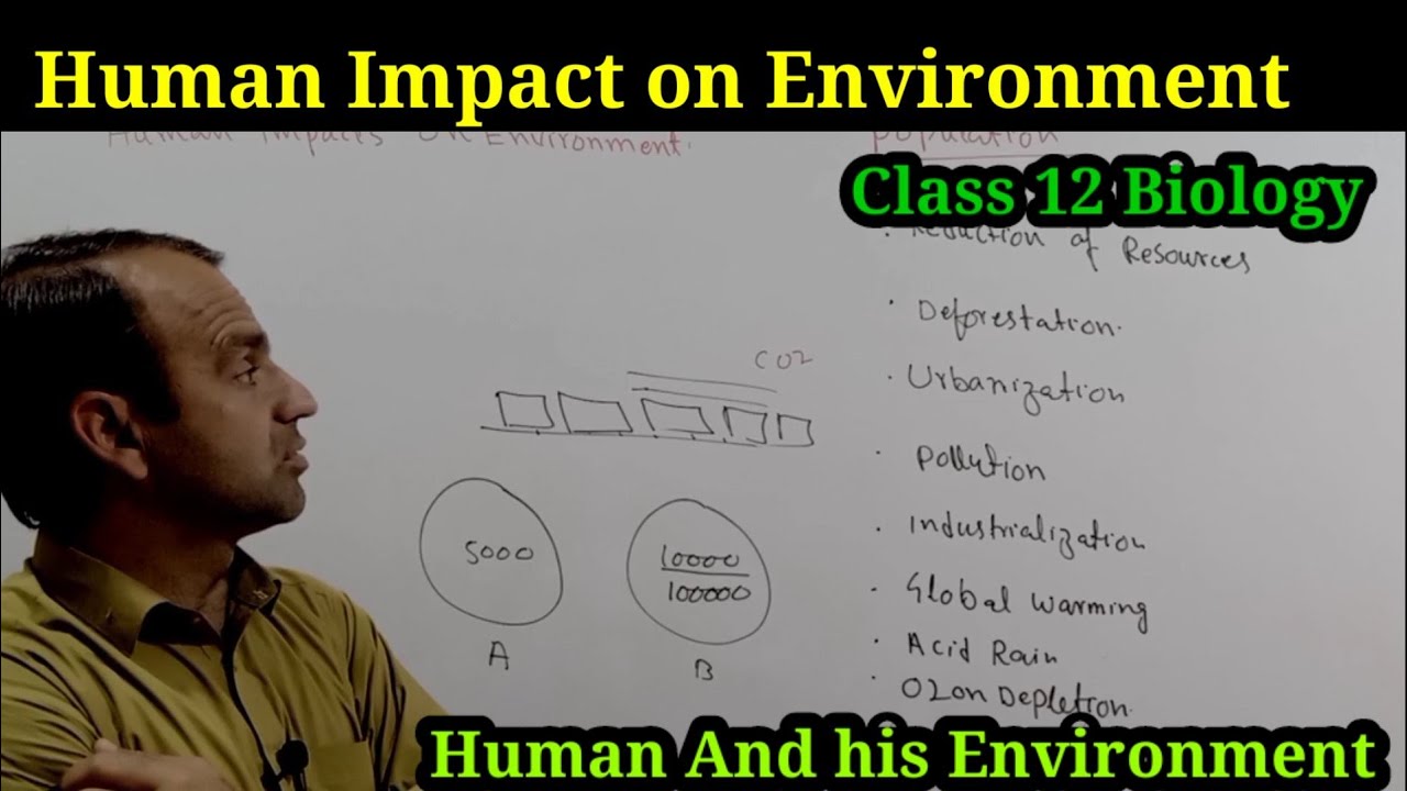 Human Impact on Environment class 12 Biology | Human and his ...