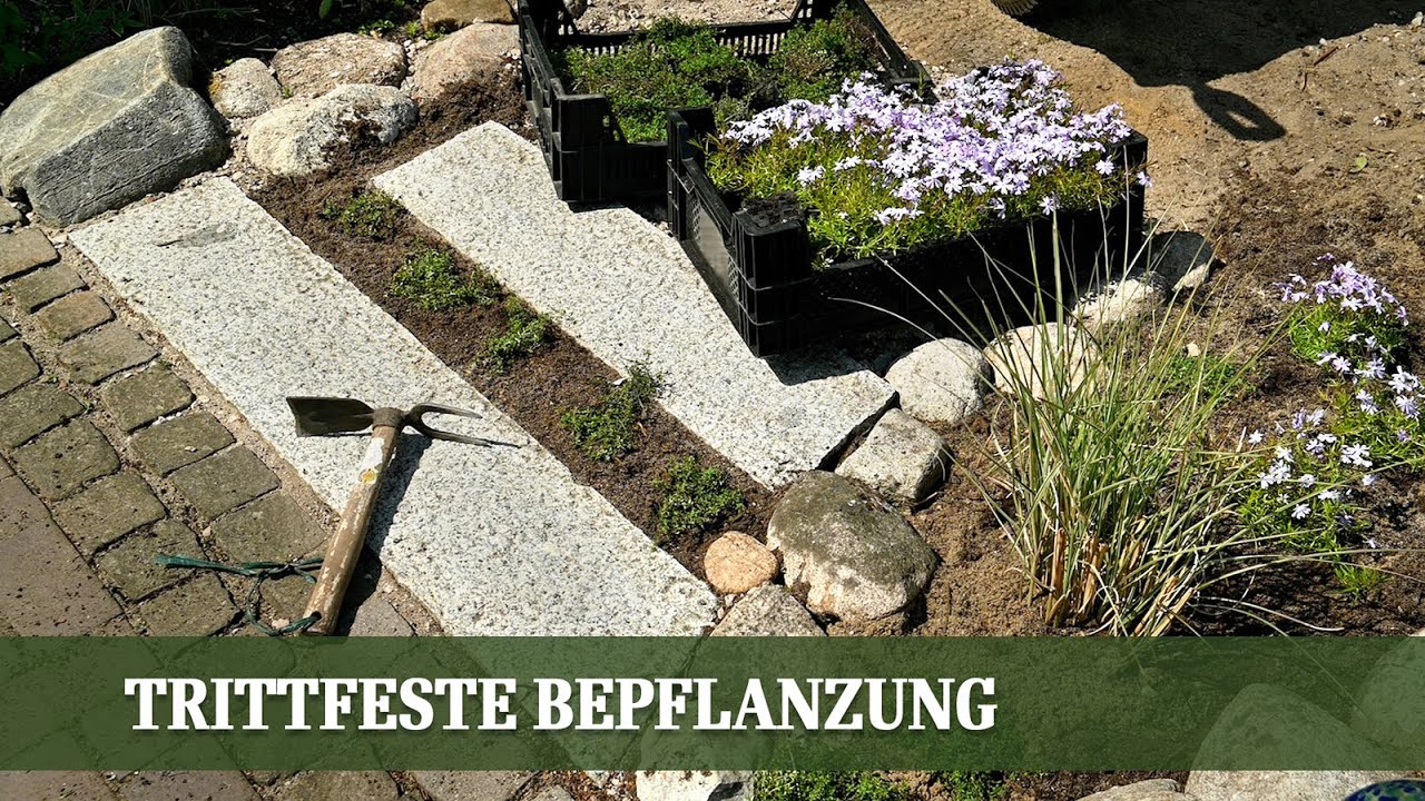 Die perfekte Lösung für Pflasterfugen und als Rasenersatz - Trittfeste ...