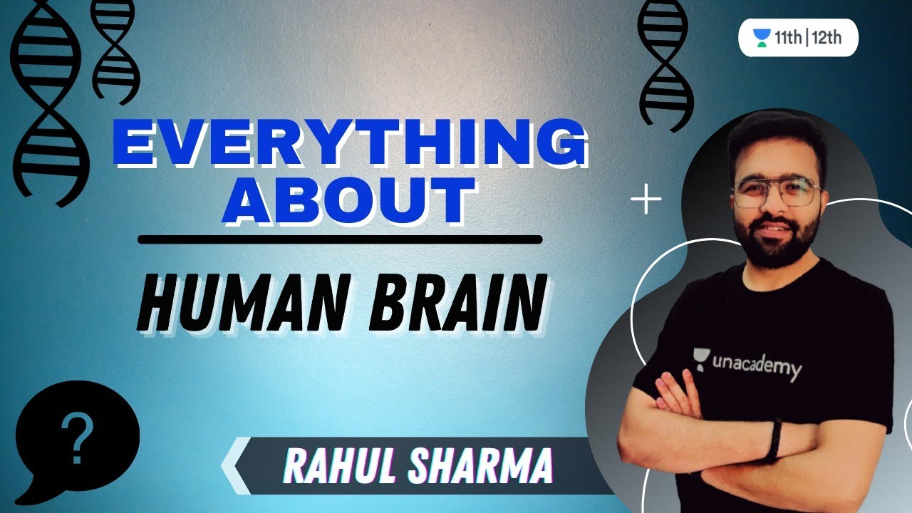 Everything About Human Brain | Biology | Unacademy Class 11&12 | Rahul ...