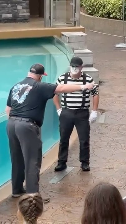 Cant Miss Best Moments 🤣👏 Tom Mime Seaworld Antics Fun Funny