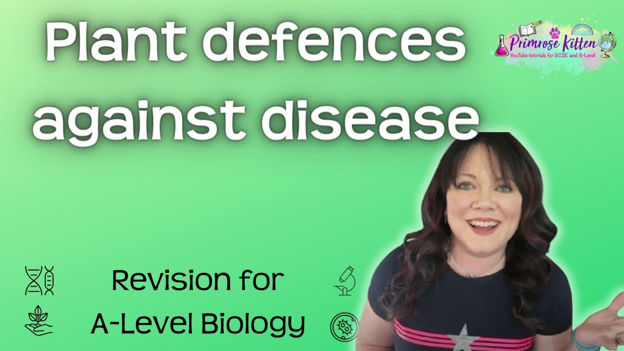 Plant defences against disease | Revision for Biology A-Level - YouTube