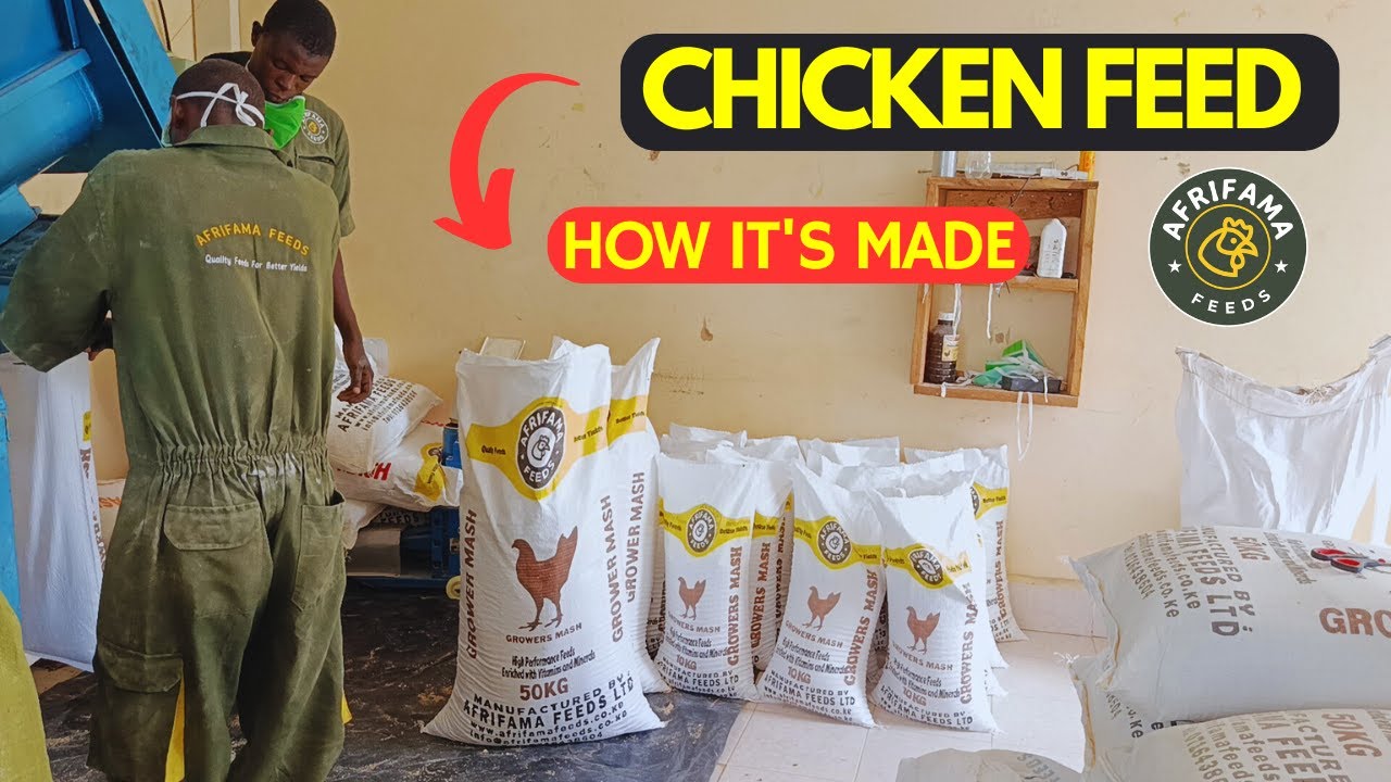 How We Produce Chicken Feed at Our Milling Plant - YouTube