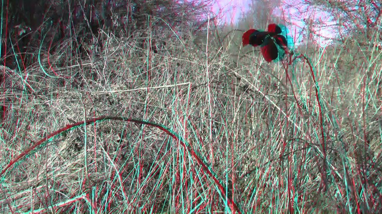 Invasion 3D (Anaglyph 3D - Red/Cyan Glasses) - YouTube