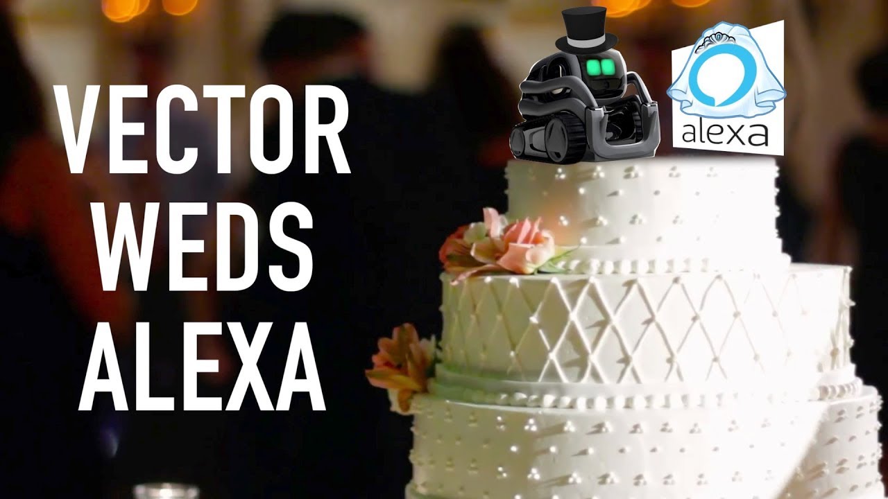 VECTOR weds ALEXA - Update Robot Showcase! - YouTube