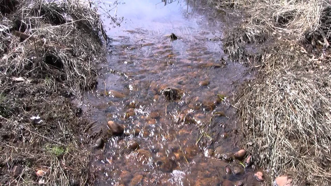 Recreating wetland-stream complexes in urban watersheds - YouTube