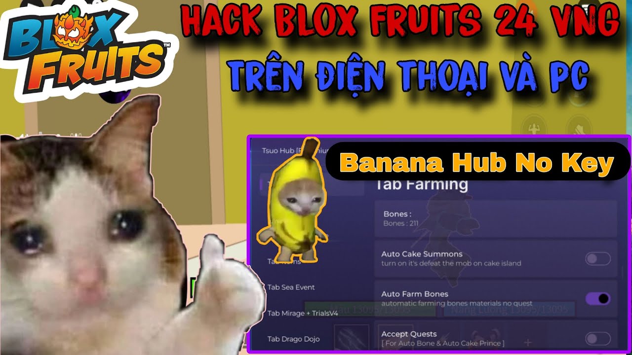 Hướng Dẫn Hack Blox Fruits 24 VNG Trên Điện Thoại | Script Banana Hub ...
