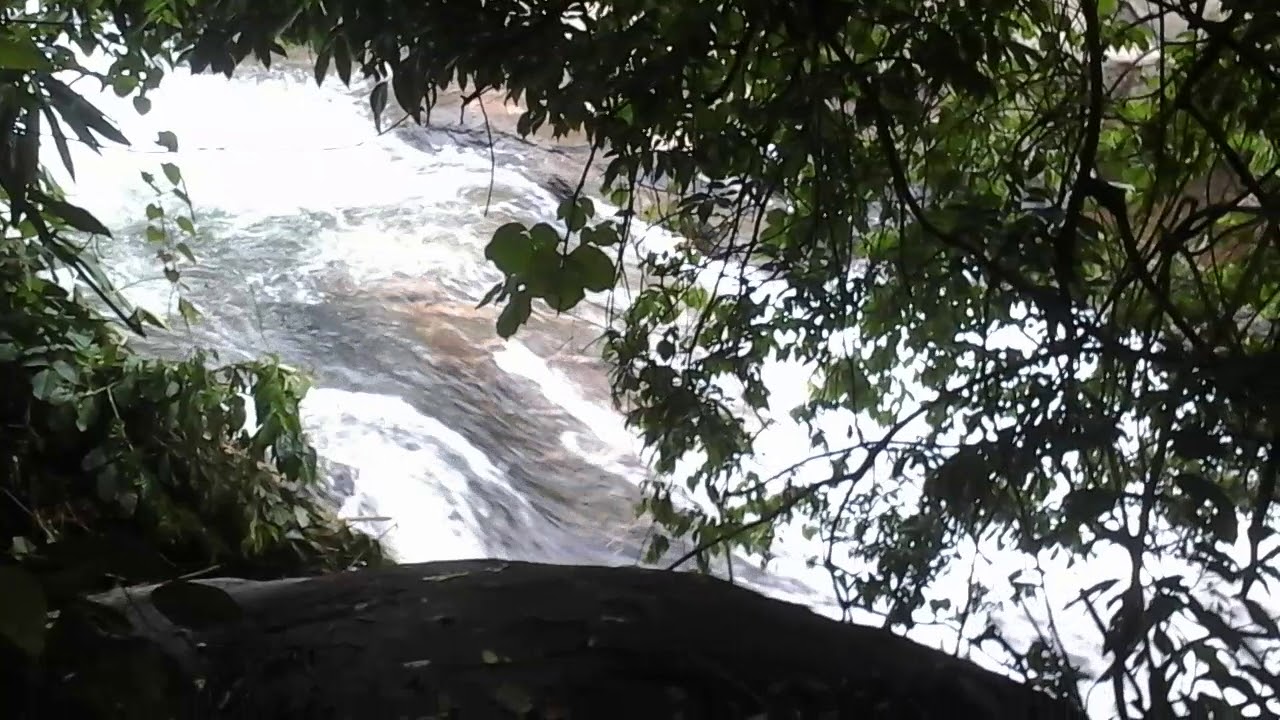 Kadapara alinkal vellachaatam - YouTube