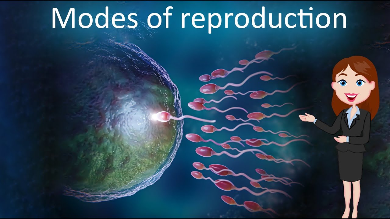 Modes of reproduction || 3D animated explanation || class 10th ...