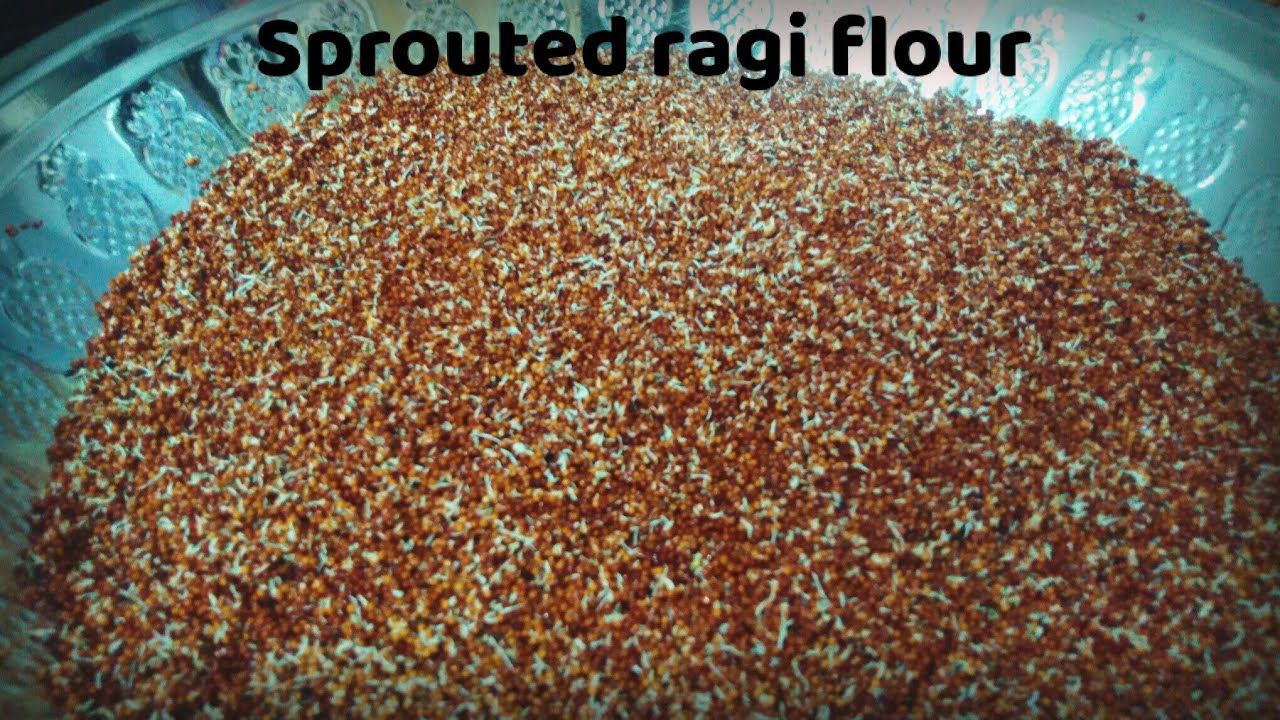 How To Sprout Ragi For Babies In Tamil YouTube how-to-sprout-ragi-for-babies-in-tamil-youtube