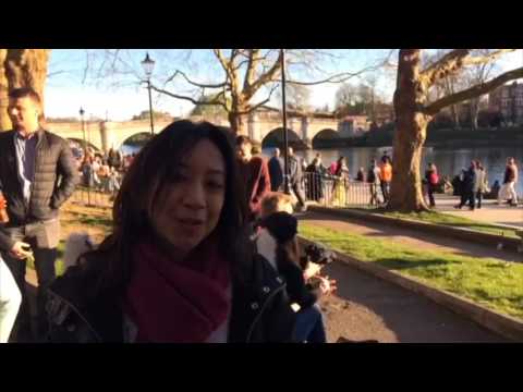 Road to #34RLA2017 Reuni Lintas Angkatan SMA 34 - YouTube