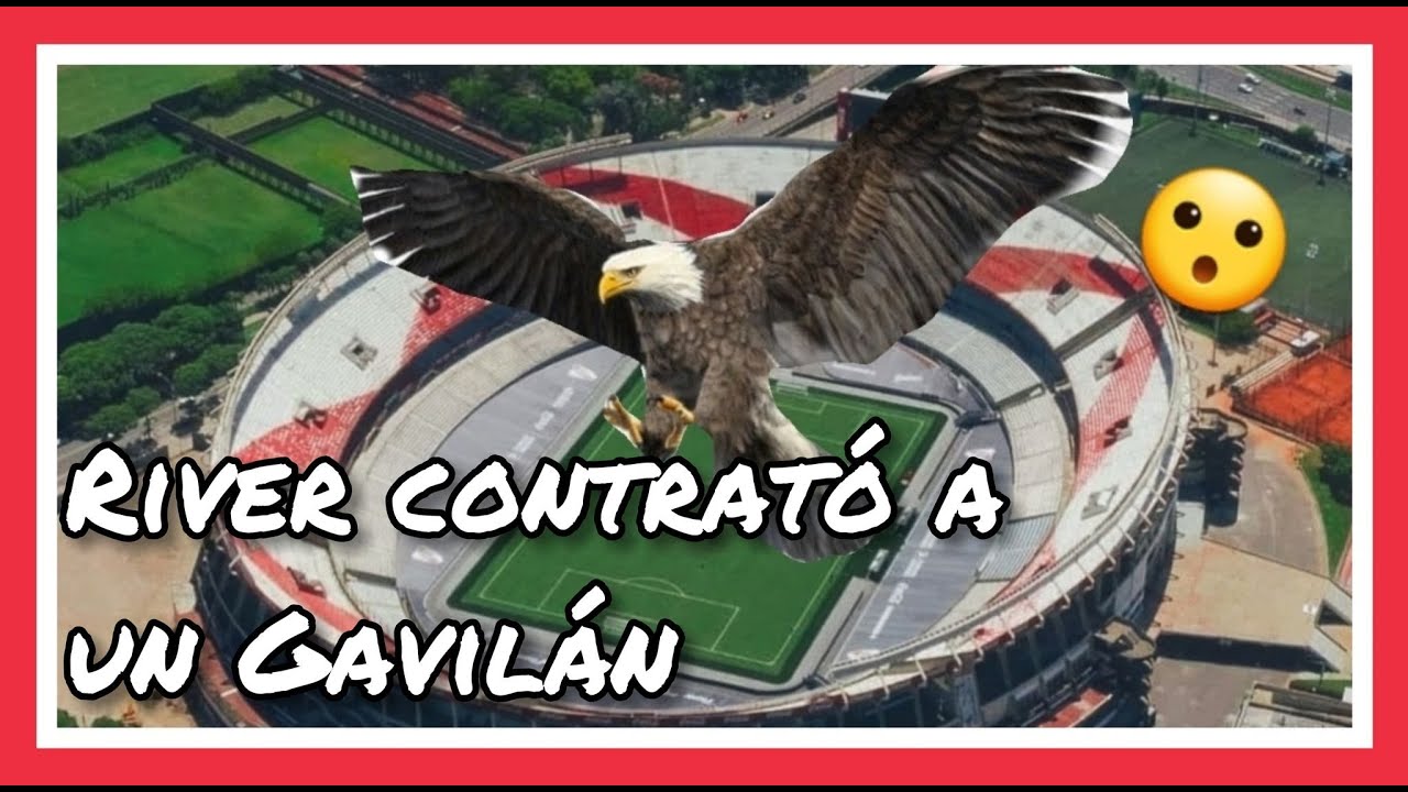 🚨River contrató a un Gavilán para el cuidado del césped del Monumental ...